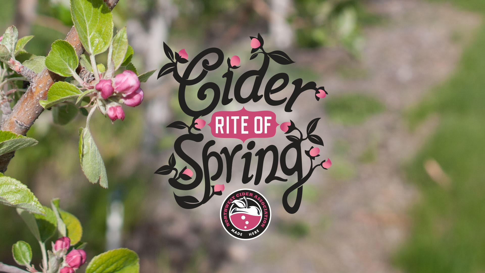 Try 100+ NW Ciders at Cider Rite of Spring – Craft Beer Scribe